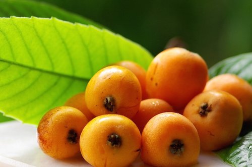 Nespole: proprietà e benefici